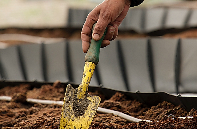 Stihl Battery Vacuum Shredder Safety Tips